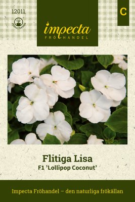 Flitiga Lisa F1 Lollipop Coconut