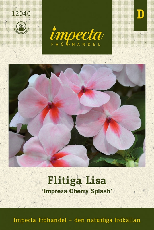 Flitiga Lisa F1 Impreza Cherry Splash