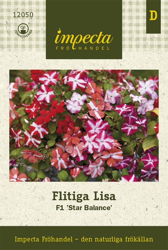 Flitiga Lisa F1 Star Balance