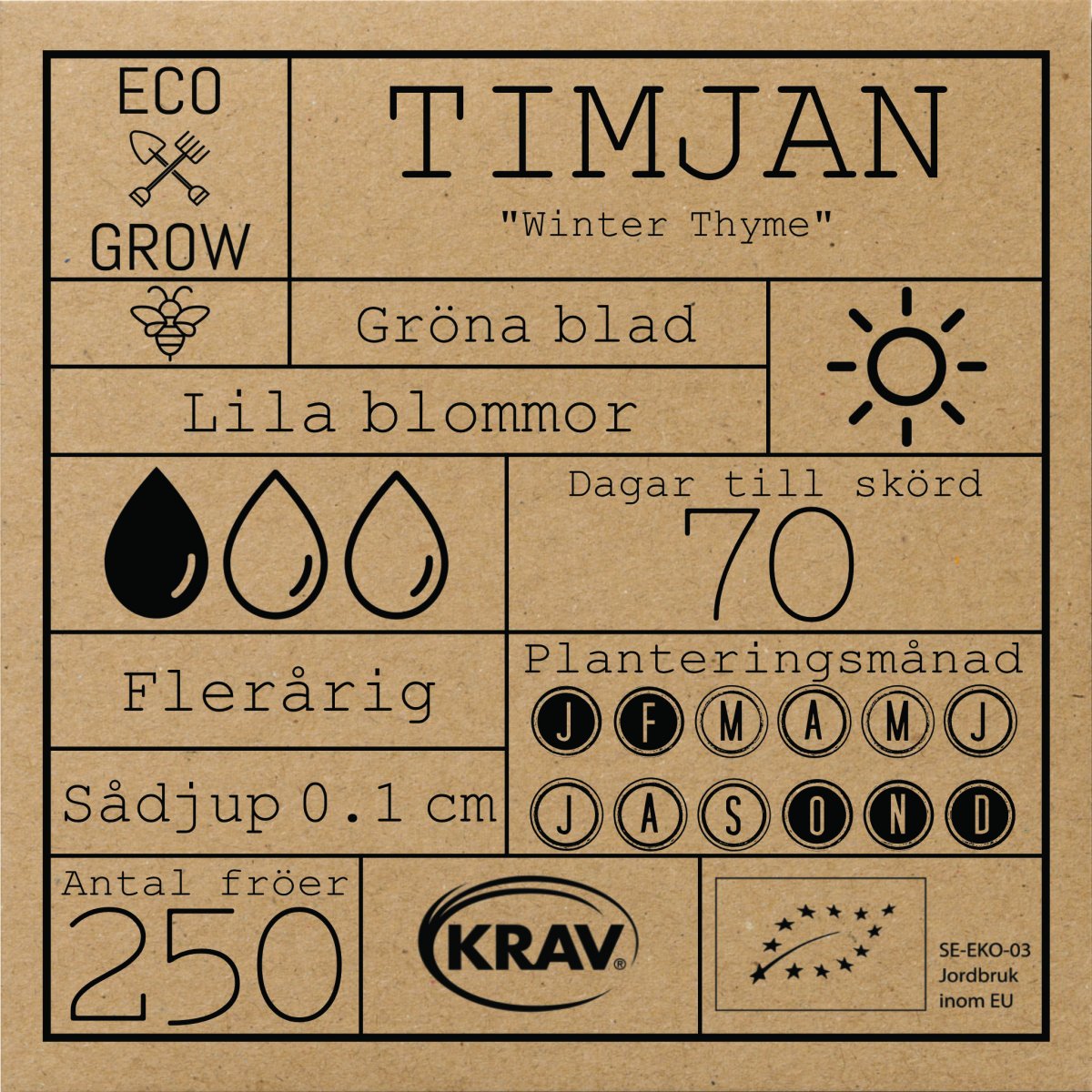 Timjan, Krydd, Winter Thyme, Ekologisk - Kryddor
