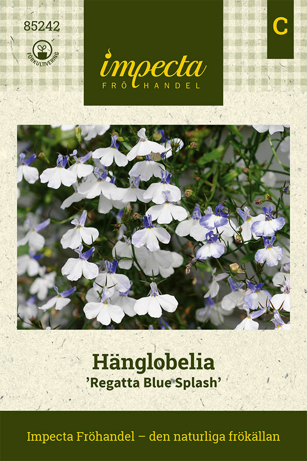 Lobelia, Häng-, Regatta Blue Splash