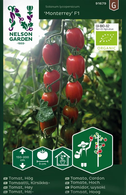 Tomat Monterrey F1, Ekologisk - Grönsaker