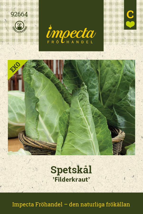 Spetskål Filderkraut - Kålväxter - Grönsaksfröer