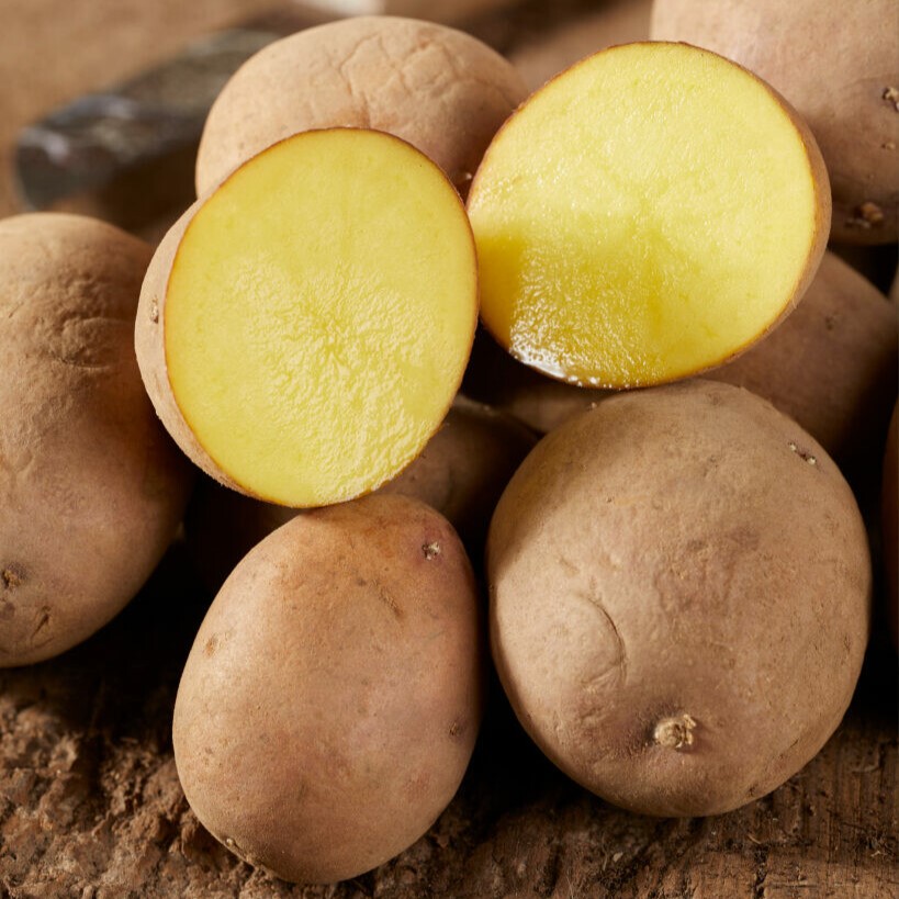 Sättpotatis Pocahontas 1kg - Sättpotatis