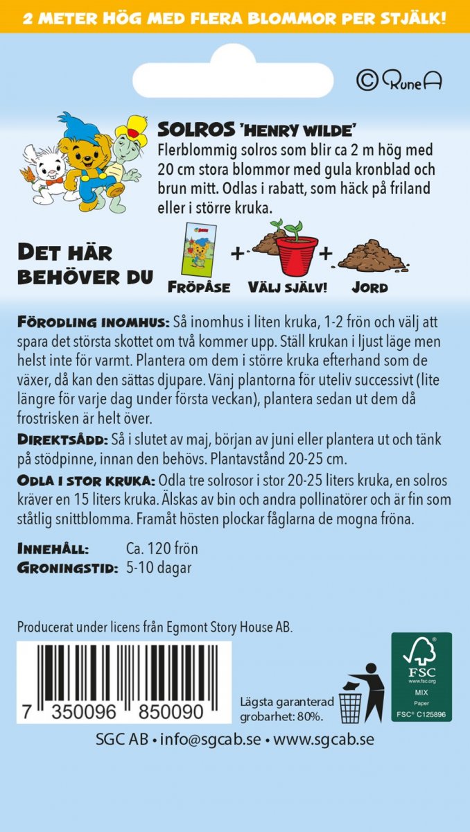 Solros Henry Wilde - Barn - Fröer