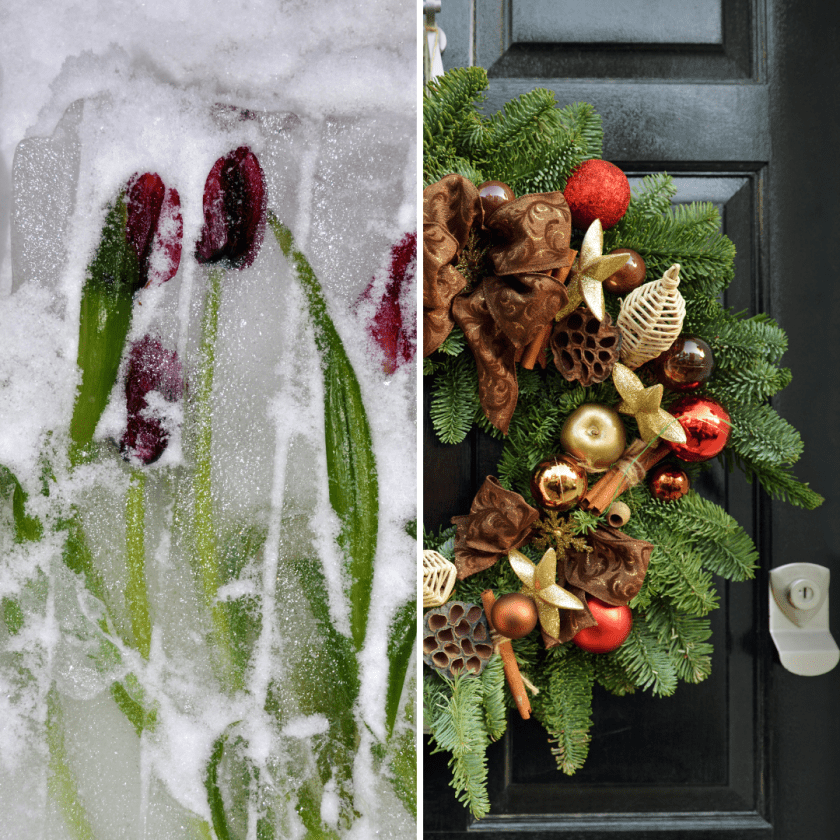 Vinterfint i trädgård och hem